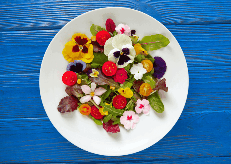 List of Edible Flowers with Pictures: 27 Gorgeous Flowers That Will ...