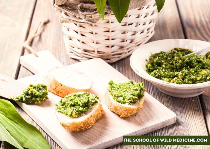 7 Wild Food Recipes: Popular Foraging Classics You'll Love 🥰